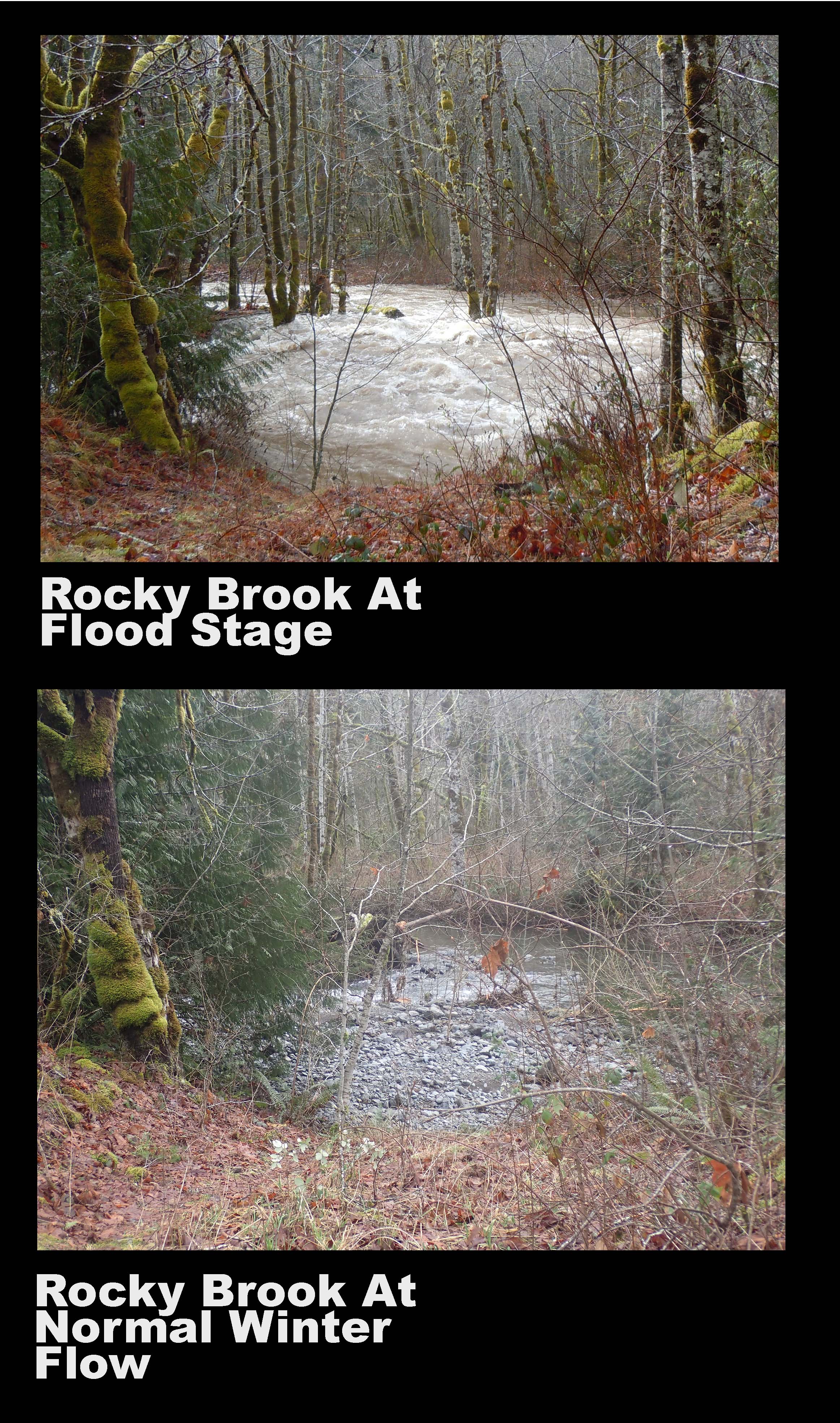 Where Do Salmon Go In A Flood? – allsalmonconsidered.com